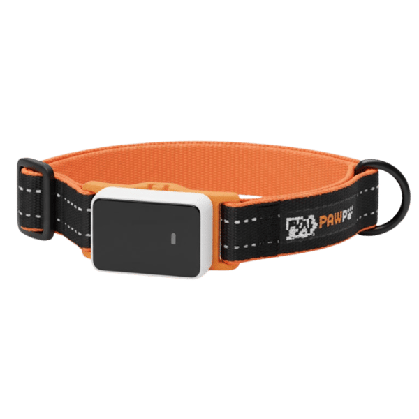 Pawfit Smart Collar Specs: 113 Things of Smart Collar That Might Make ...