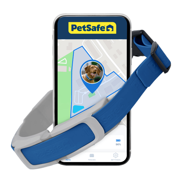 PetSafe Guardian GPS + Tracking Specs: Not Just Fluff — These 151 Smart ...