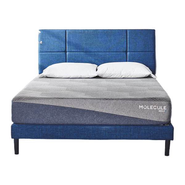 Molecule Reflex Specs: Before You Buy This Mattress, Know These 120 ...
