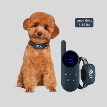 Wiggle Kingdom Discount Codes ⁓ 5% Off Labor Day Sale December 2025 Deals